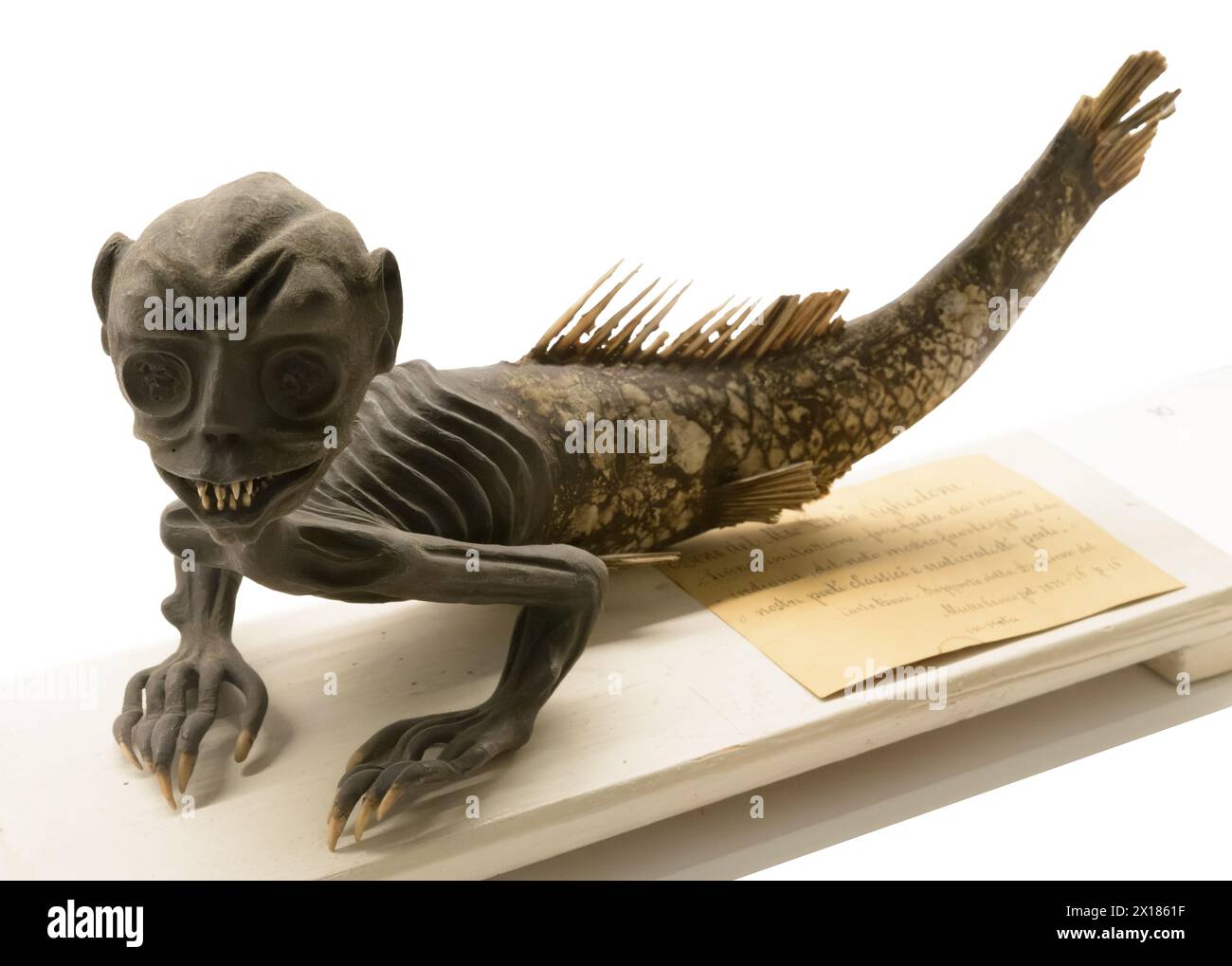 Merman fish hi-res stock photography and images - Alamy