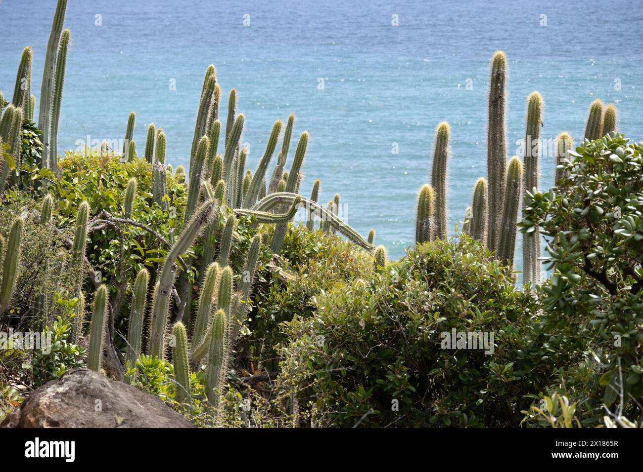 Guana Bay Coastal hike, St. Maarten, Caribbean Stock Photo - Alamy