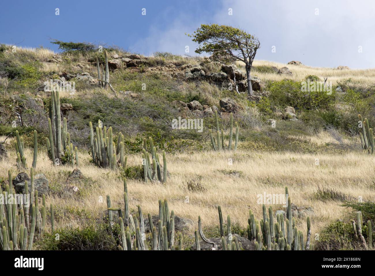Guana Bay Coastal hike, St. Maarten, Caribbean Stock Photo - Alamy