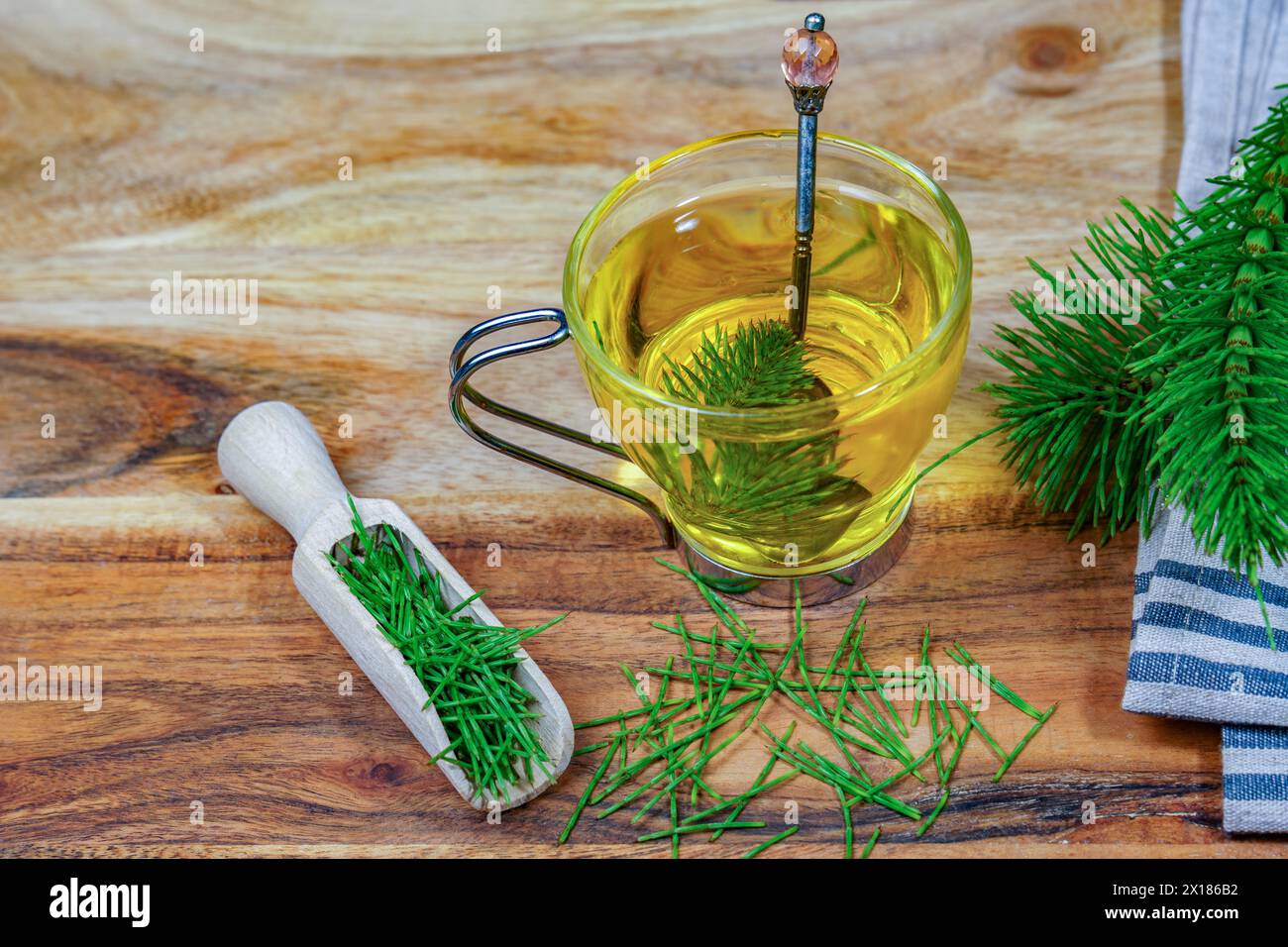 Fresh branches medicinal plant hi-res stock photography and images - Alamy