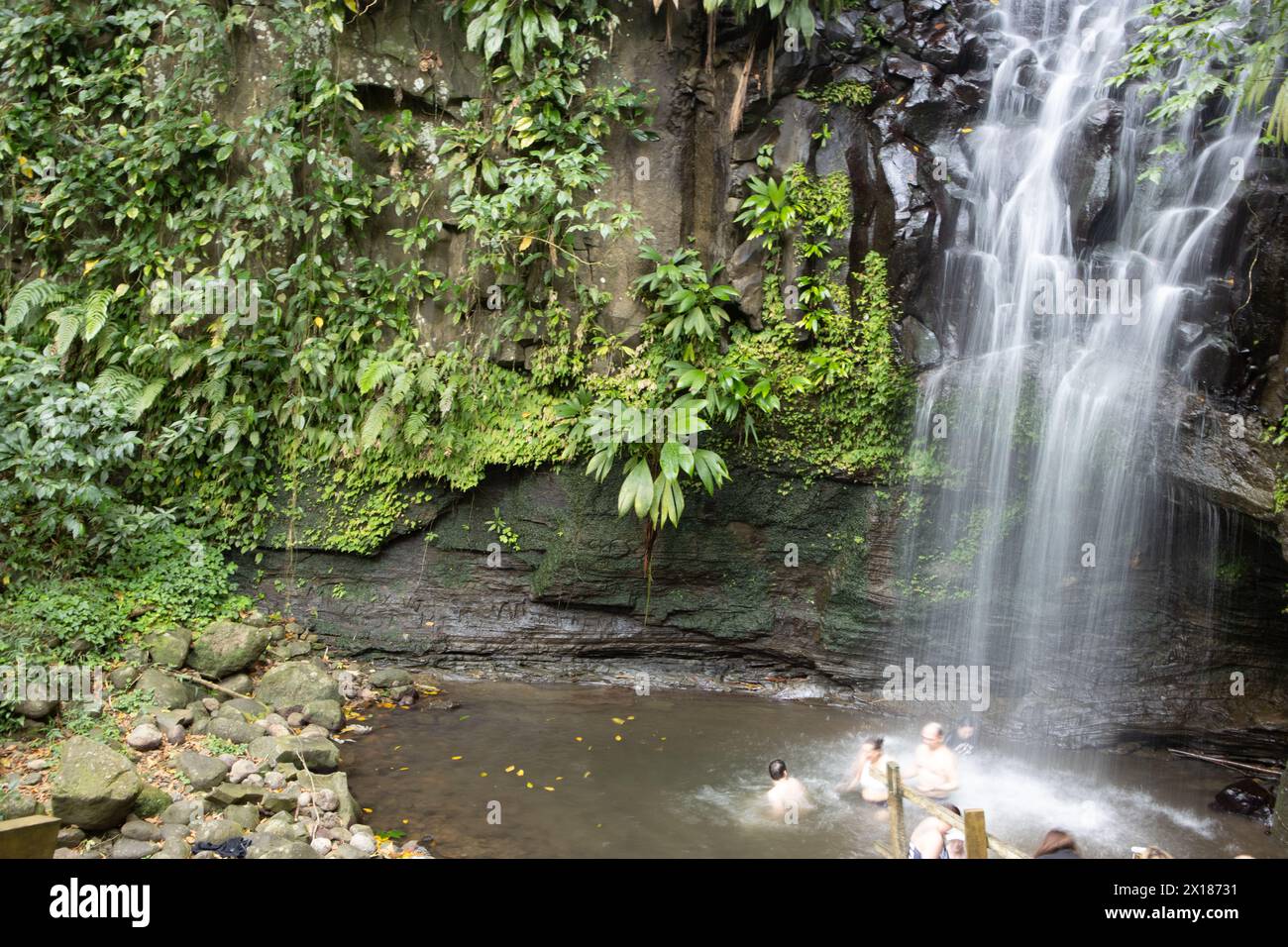 Eco Trek to Bamboo Falls, Grenada Stock Photo - Alamy