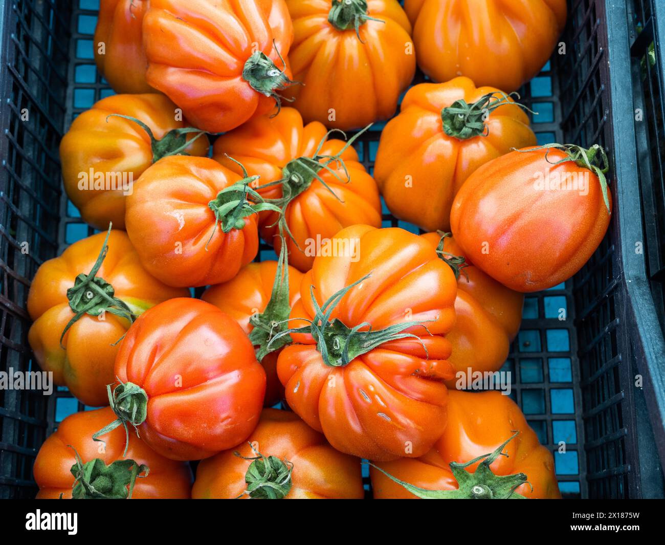Tomatoes, freshly harvested vegetables, farmers' market in Maddalena ...