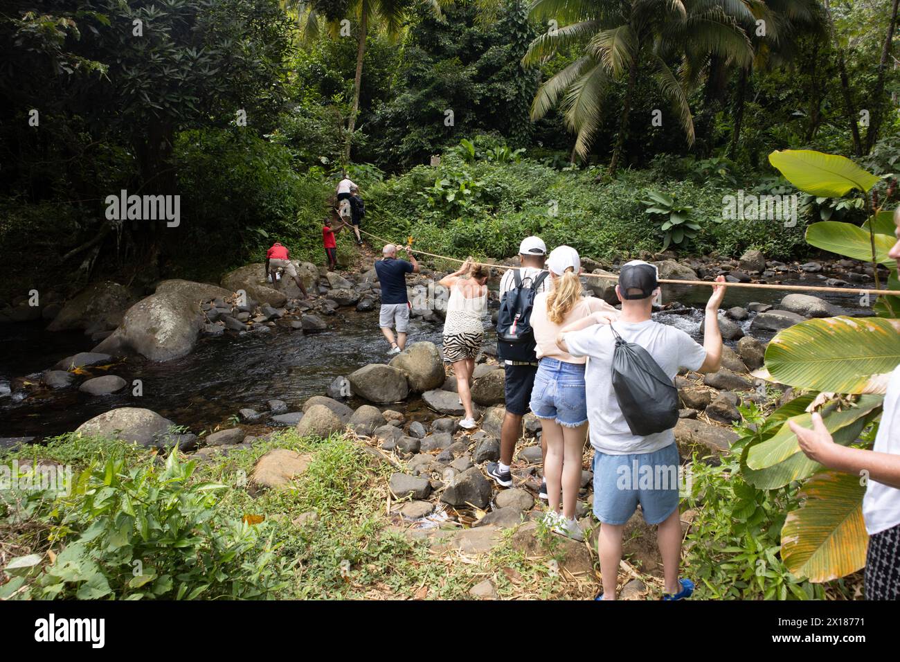 Eco Trek to Bamboo Falls, Grenada Stock Photo - Alamy