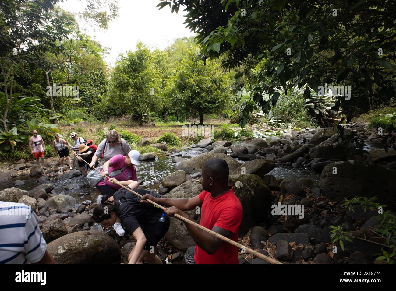 Eco Trek to Bamboo Falls, Grenada Stock Photo - Alamy