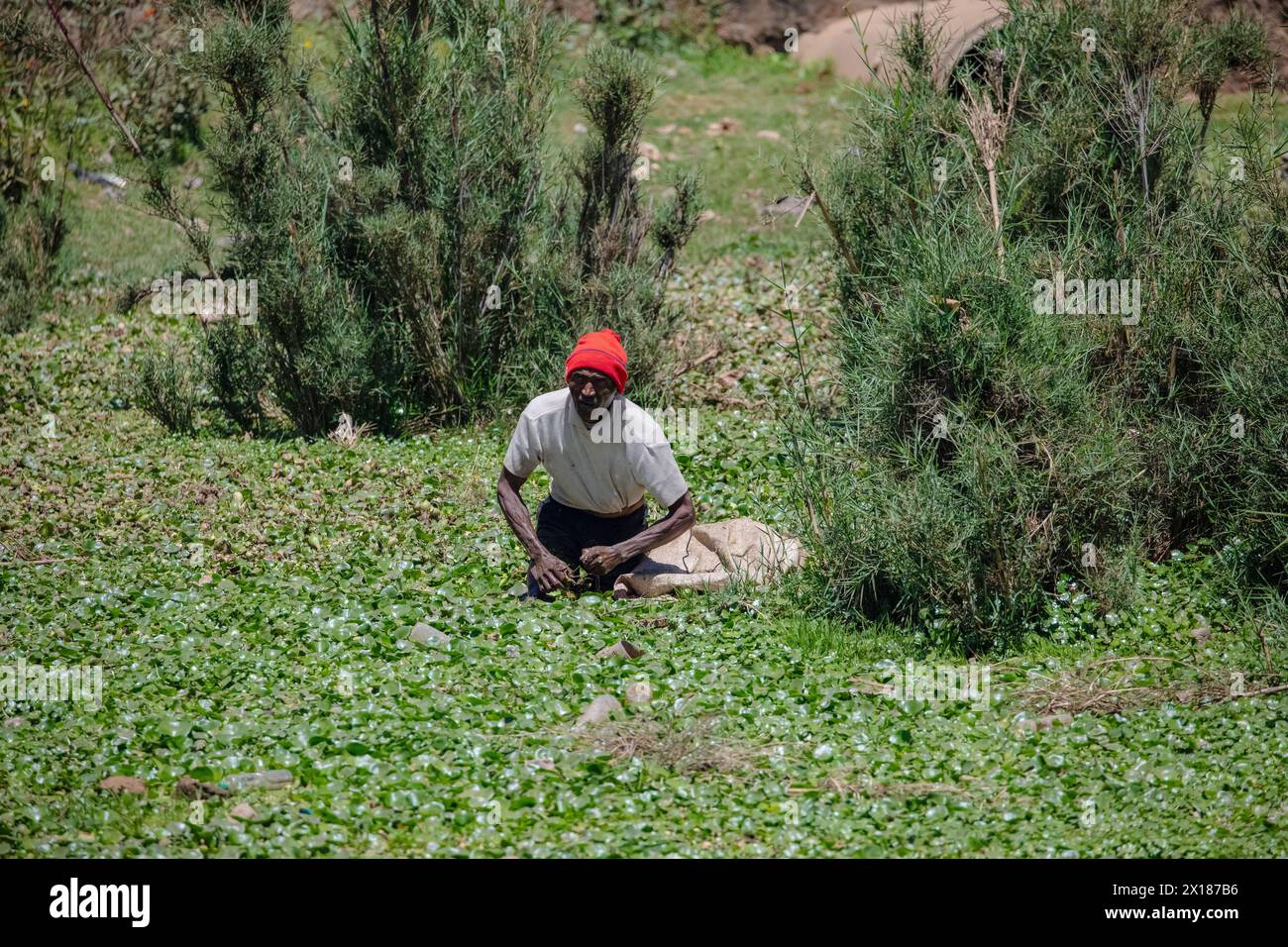 Antananarivo, Madagascar 07 oktober 2023. cityscape, Tana, capital of ...
