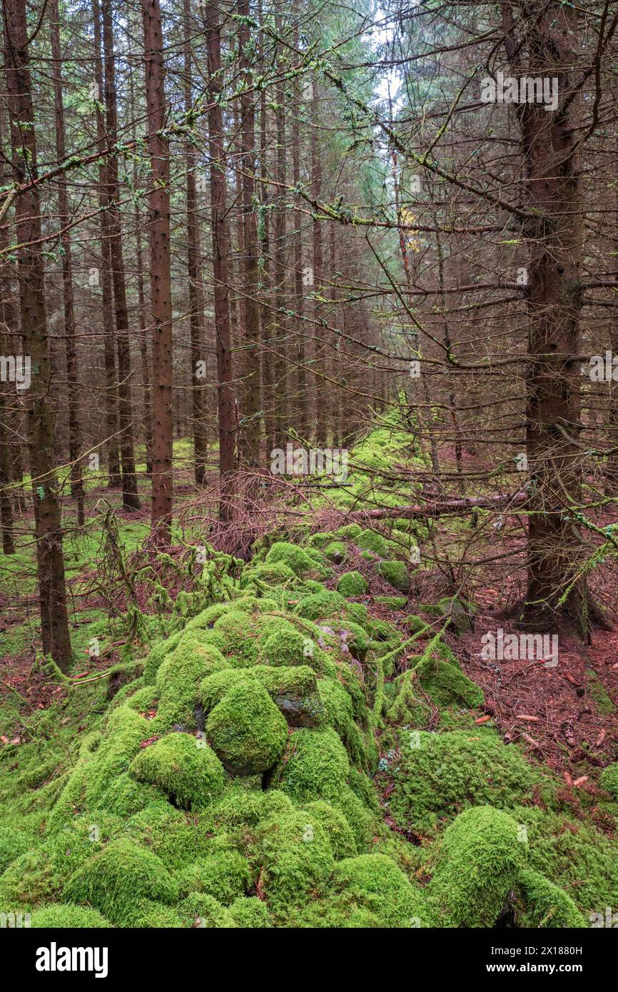 Plantation land cover hi-res stock photography and images - Alamy