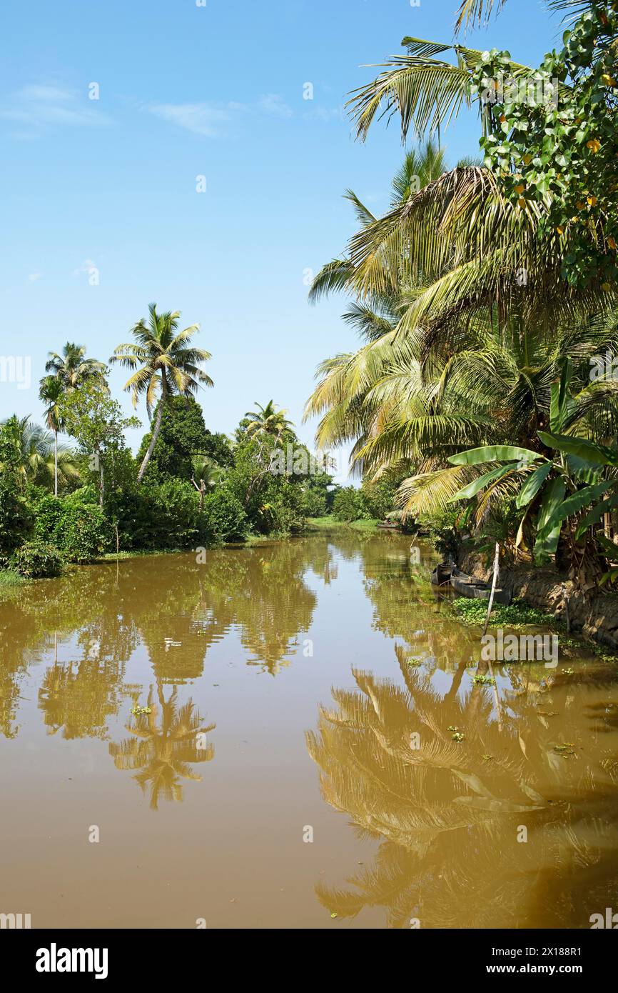 River landscape with palm trees in the canal system of the backwaters ...