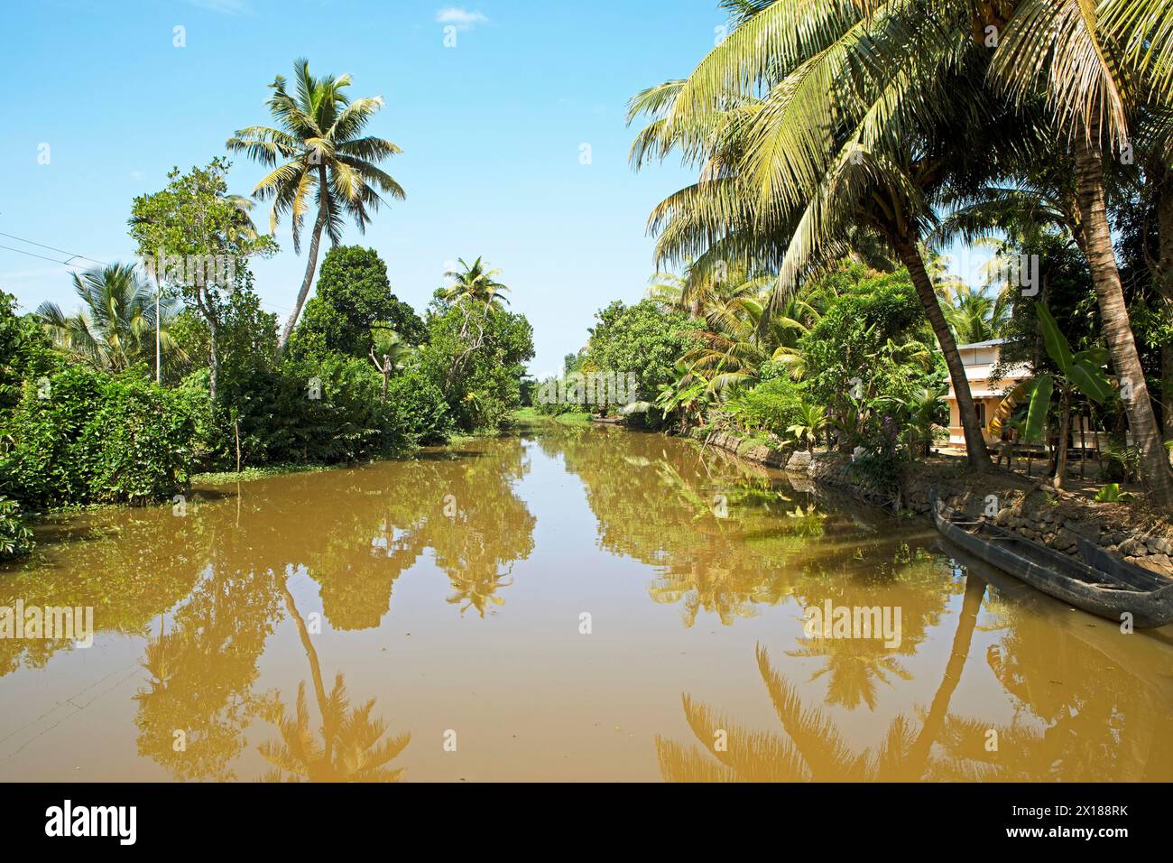 River landscape with palm trees in the canal system of the backwaters ...