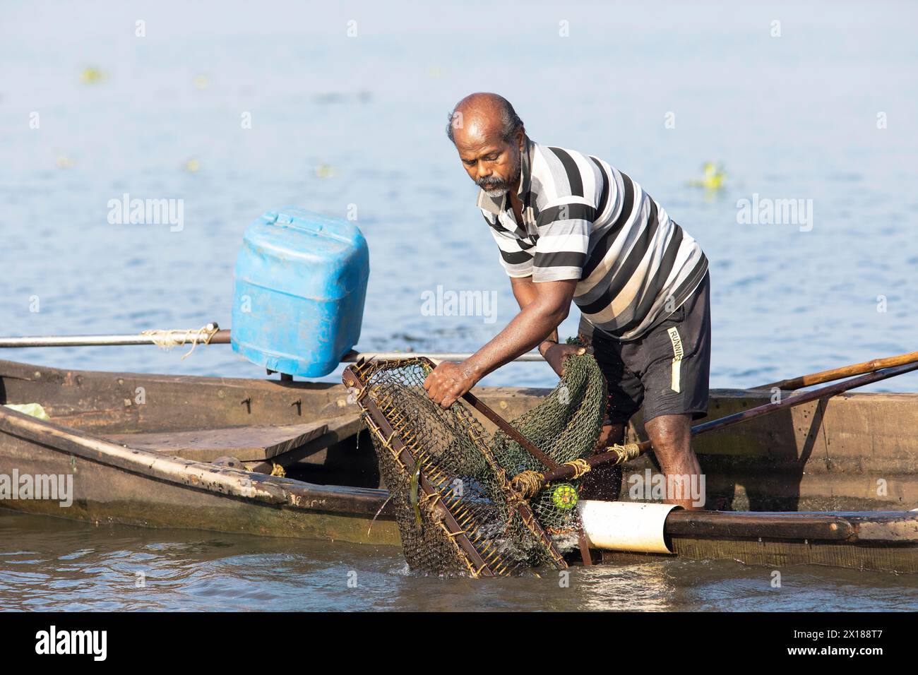 Mussel fisherman emptying his net on the Vembanad Lake, canal system of ...