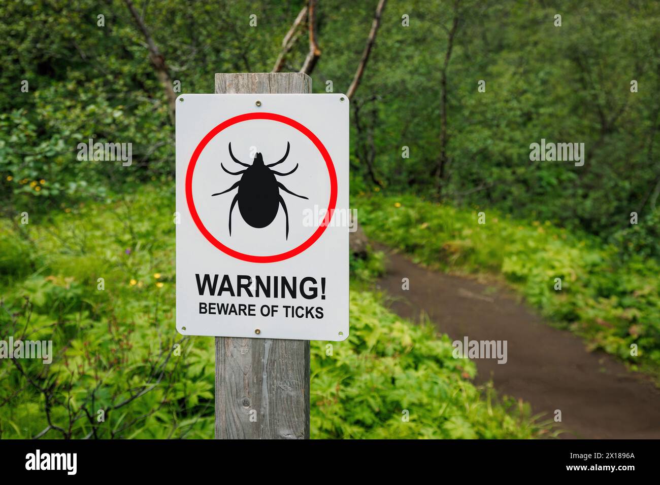 Tick Infected area with danger warning sign. Risk of tick-borne and ...