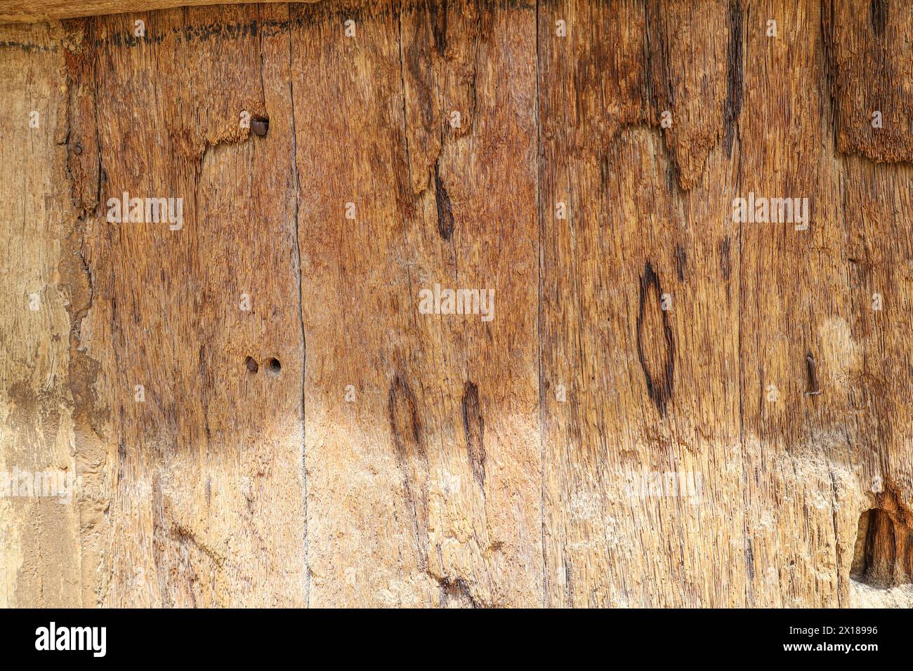 Old vantage wooden door and gate of the fort Al Masmak Palace Riyadh ...