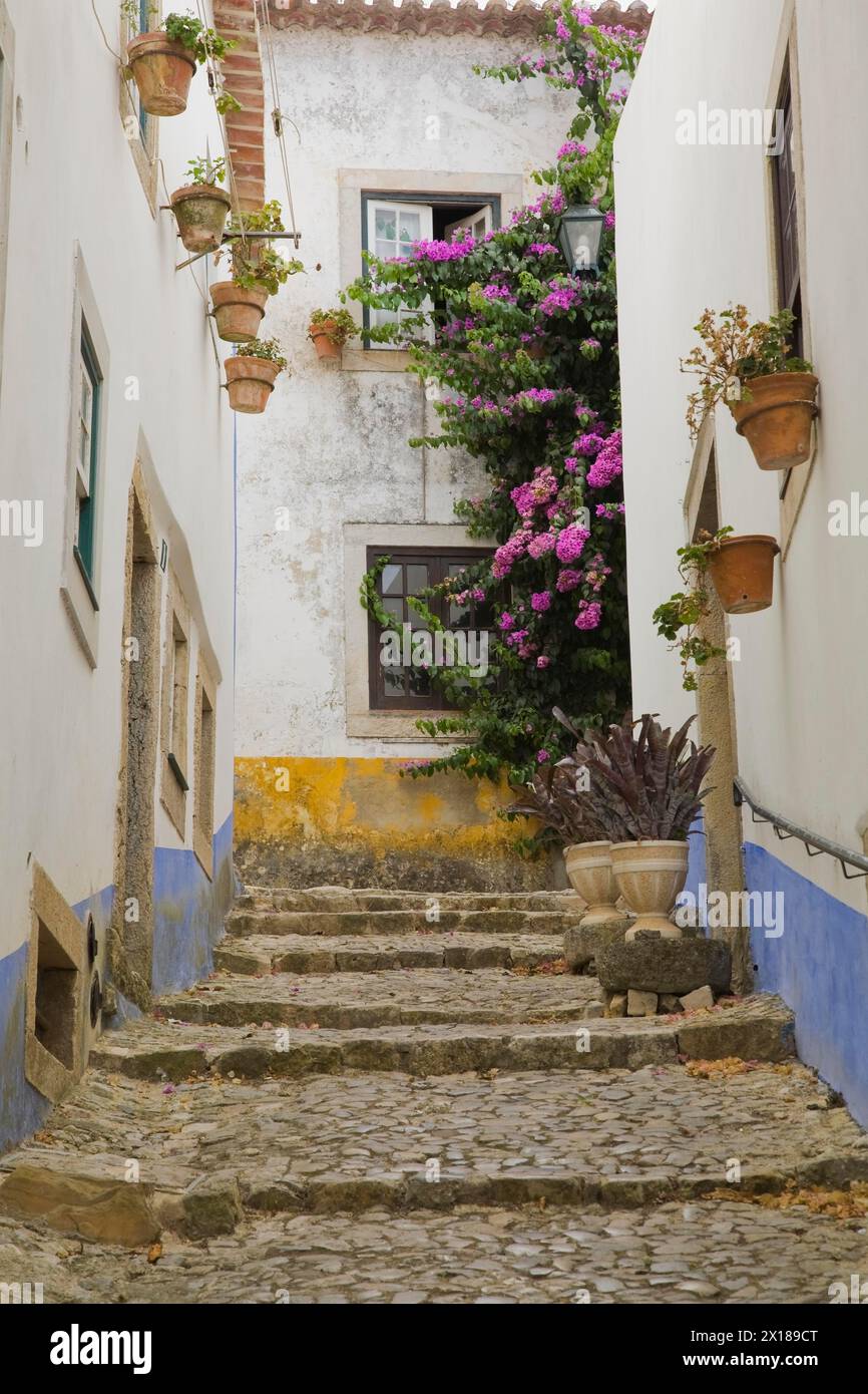 Old street with mosaic style paving stone stairs and white roughcast ...