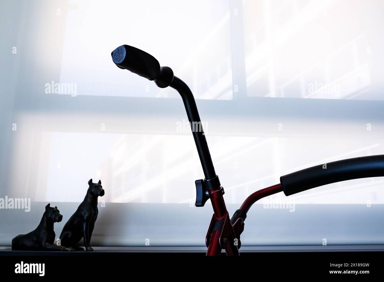 Walker handle with two dogs in the background Stock Photo - Alamy