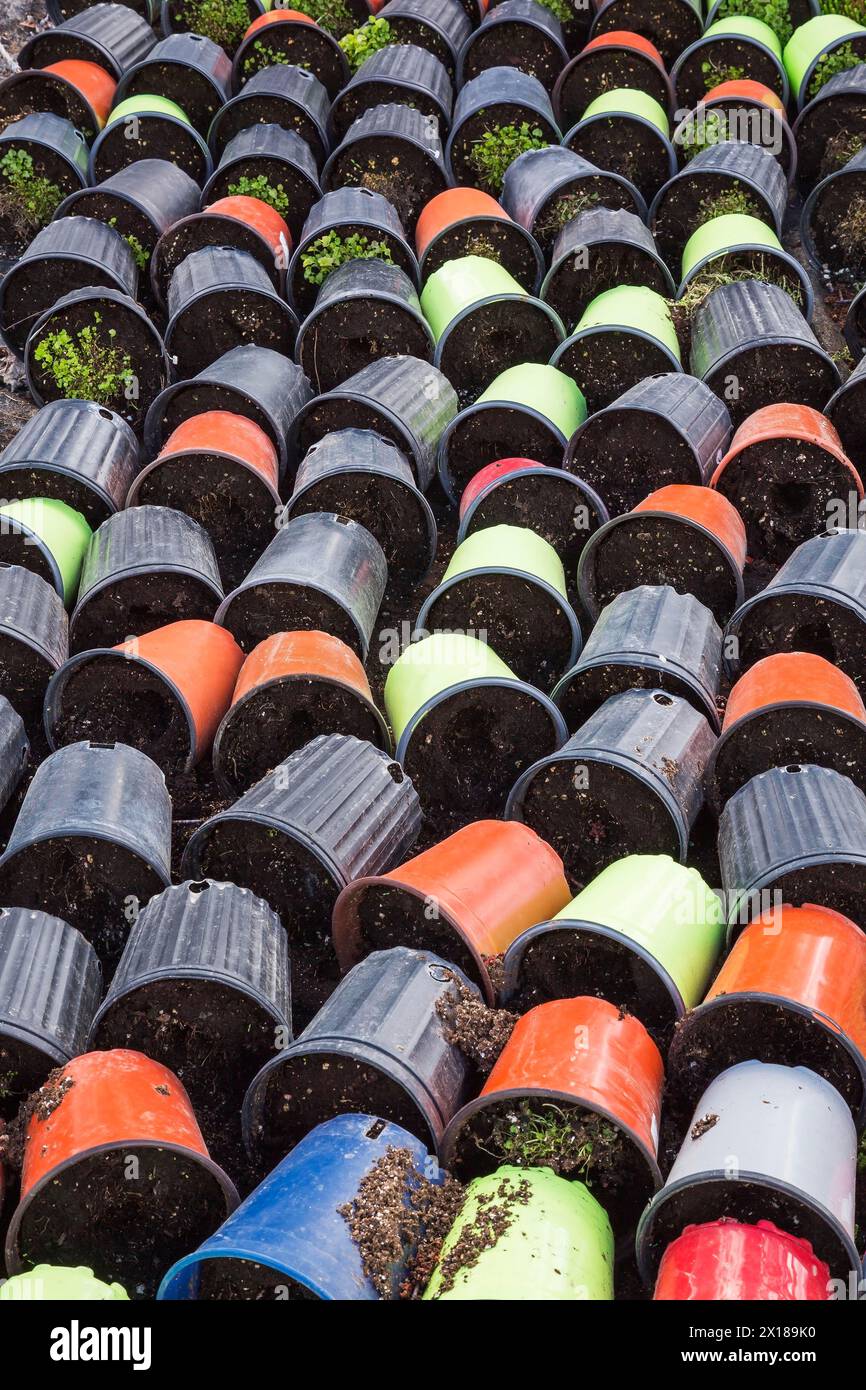 Rows of discarded tipped over blue, red, black and lime green plastic ...