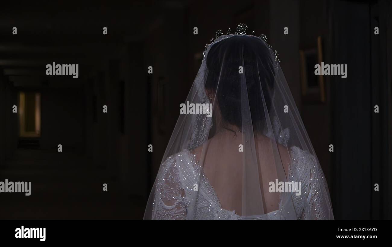 The veiled bride hi-res stock photography and images - Alamy