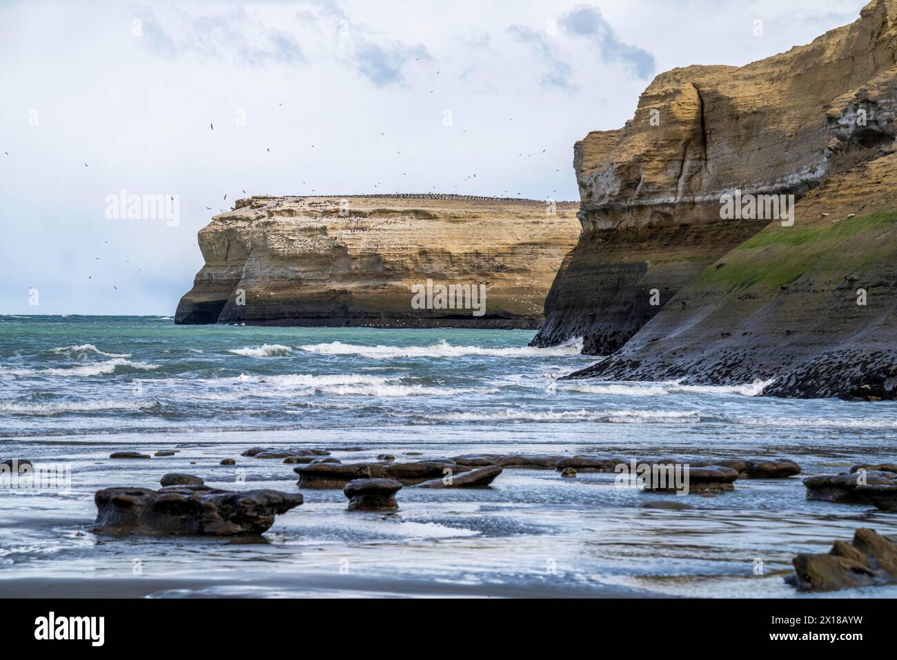 Monte Leon National Park coast line, Monte Leon National Park, Santa ...