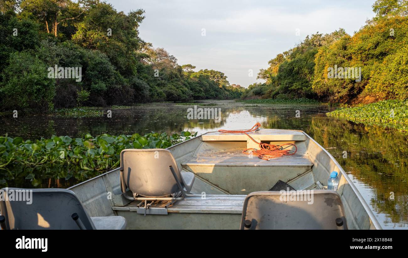 Corixo do Cerrado, Pantanal, Brazil Stock Photo - Alamy