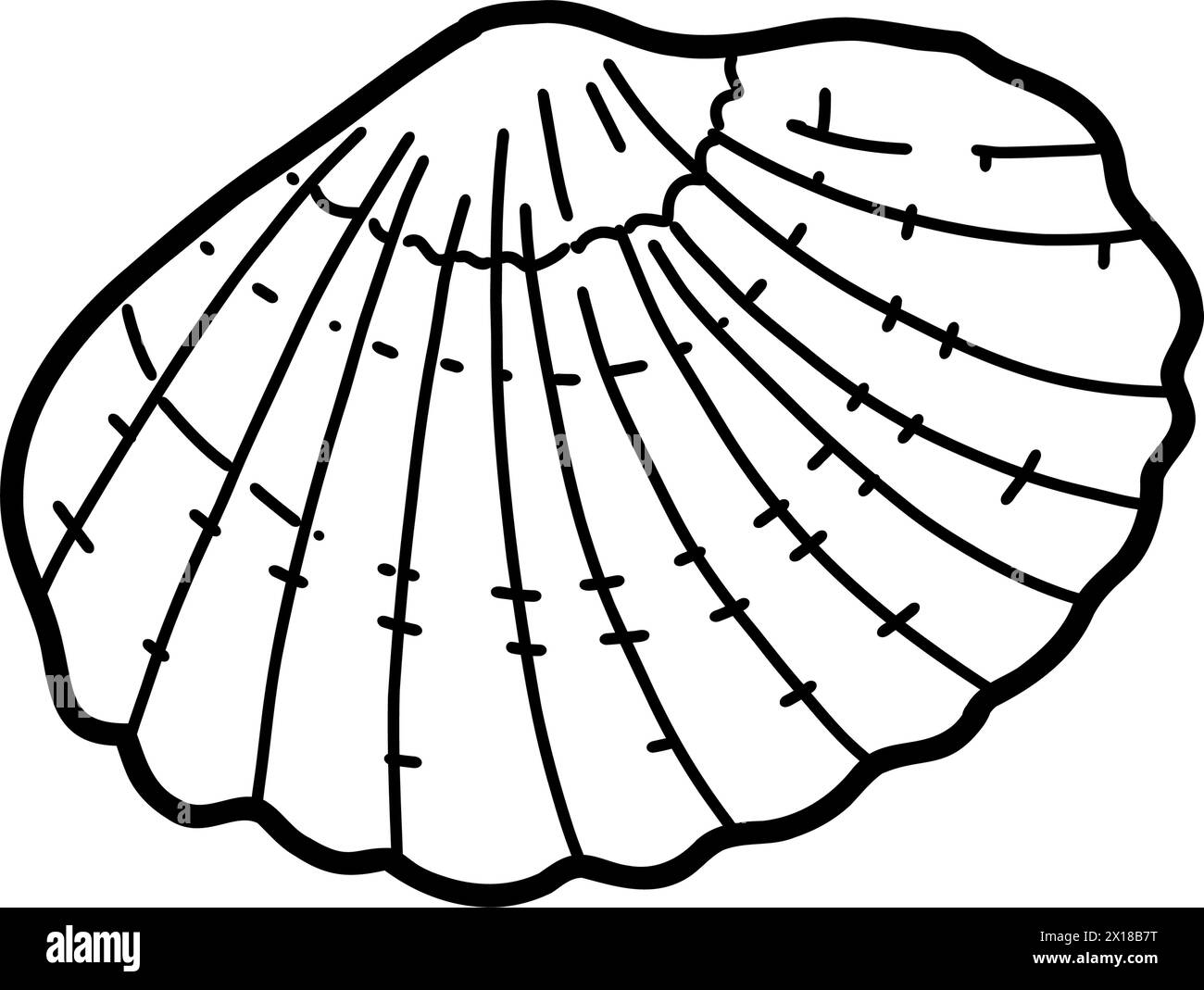 Hand drawn sea shell vector illustration in doodle style isolated on ...