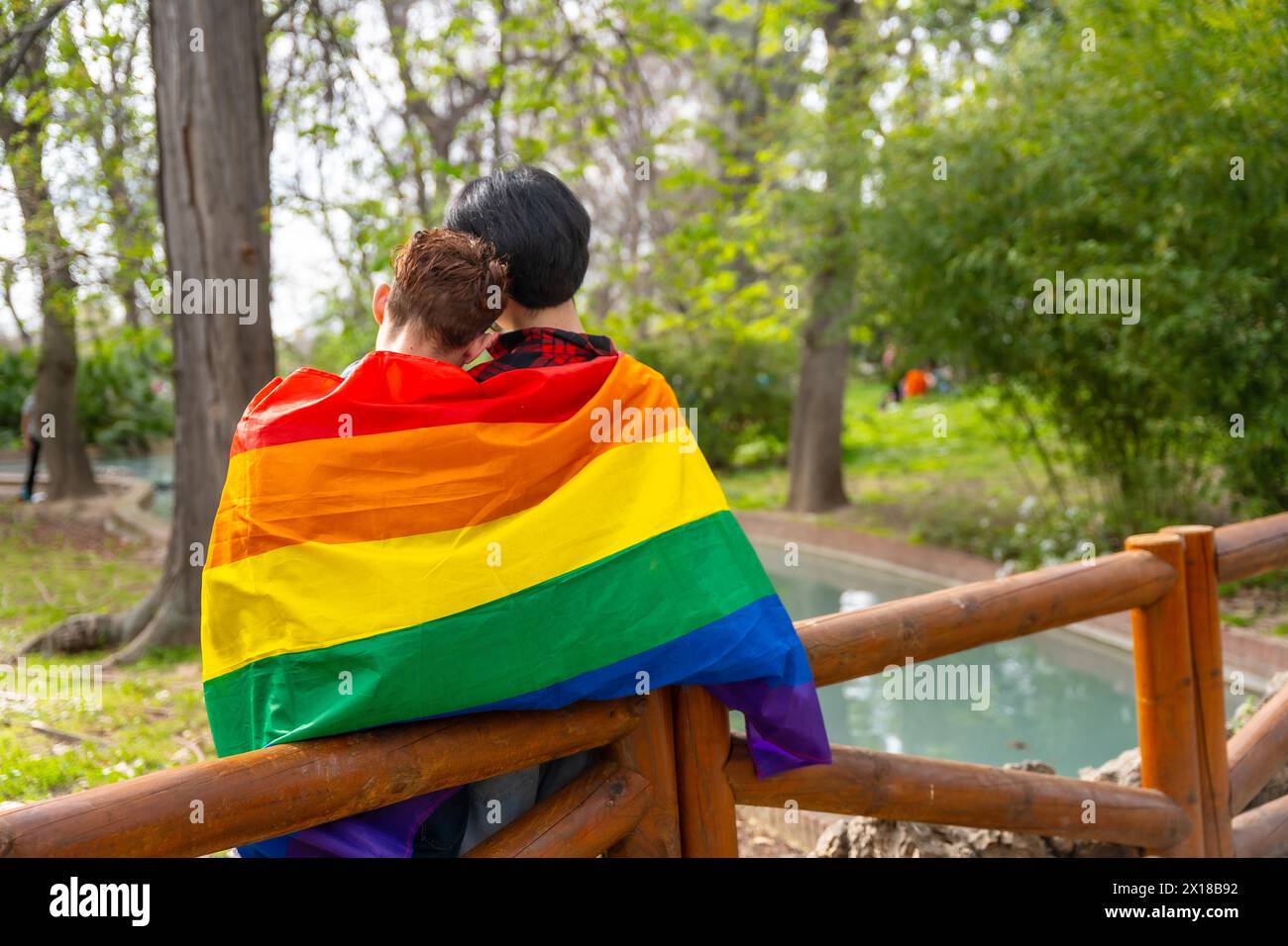 Rear view of gay couple wrapping in lgbt flag leaning on a rail a park ...