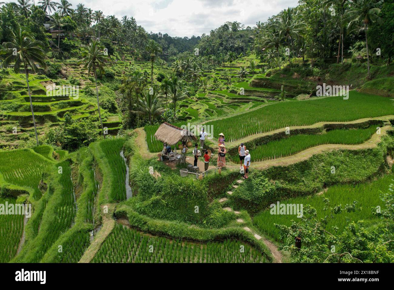 Ubud beaches hi-res stock photography and images - Alamy