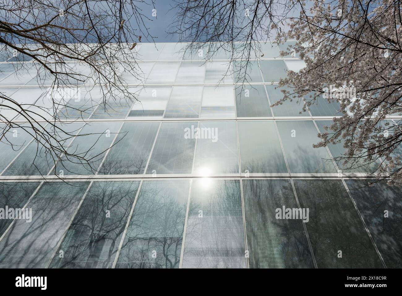 Modern architecture, office building, architects Sejima & Nishizawa ...