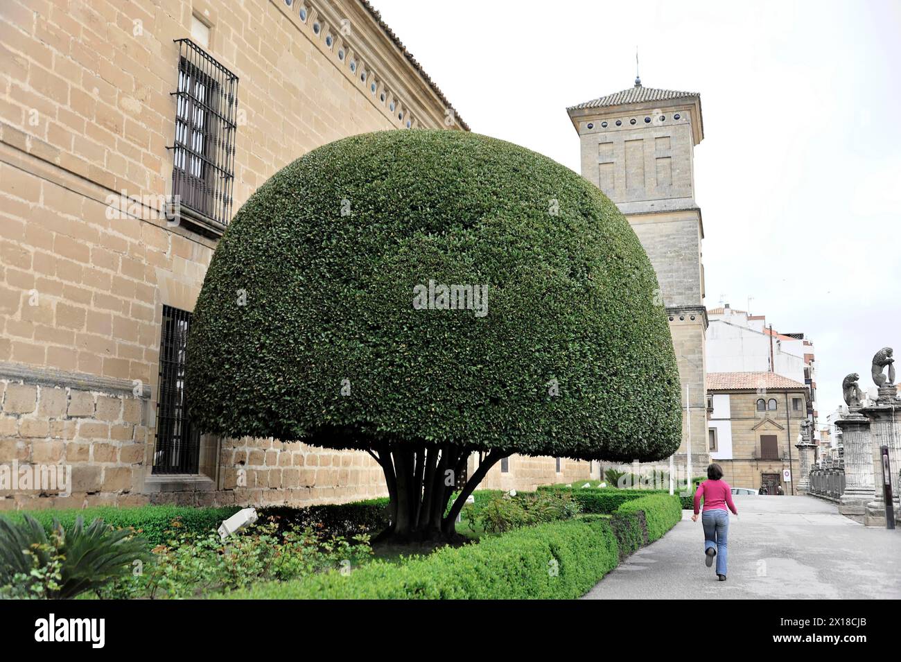 Carefully pruned hi-res stock photography and images - Alamy