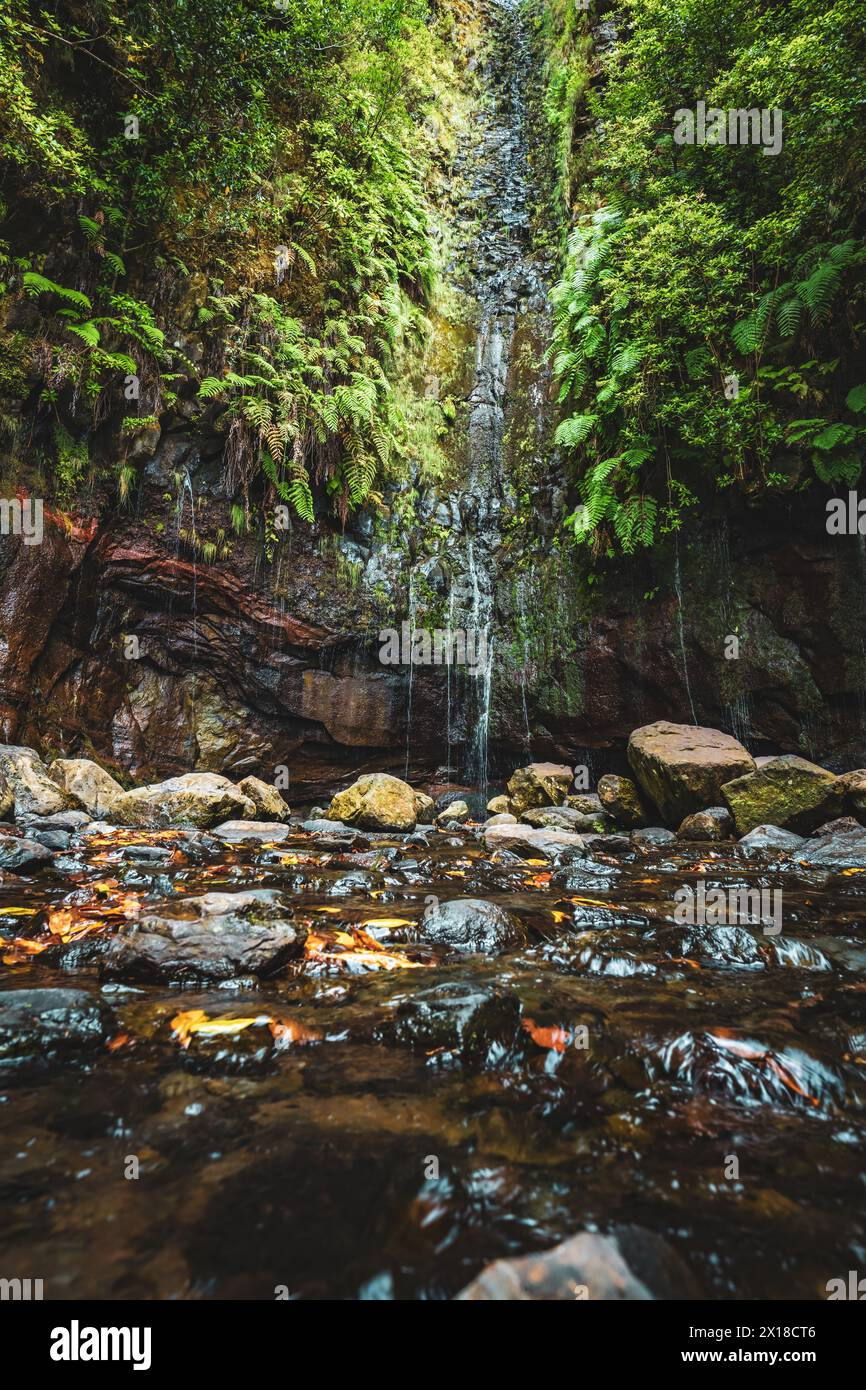 Description: Scenic view of green overgrown 25 Fontes waterfall with ...