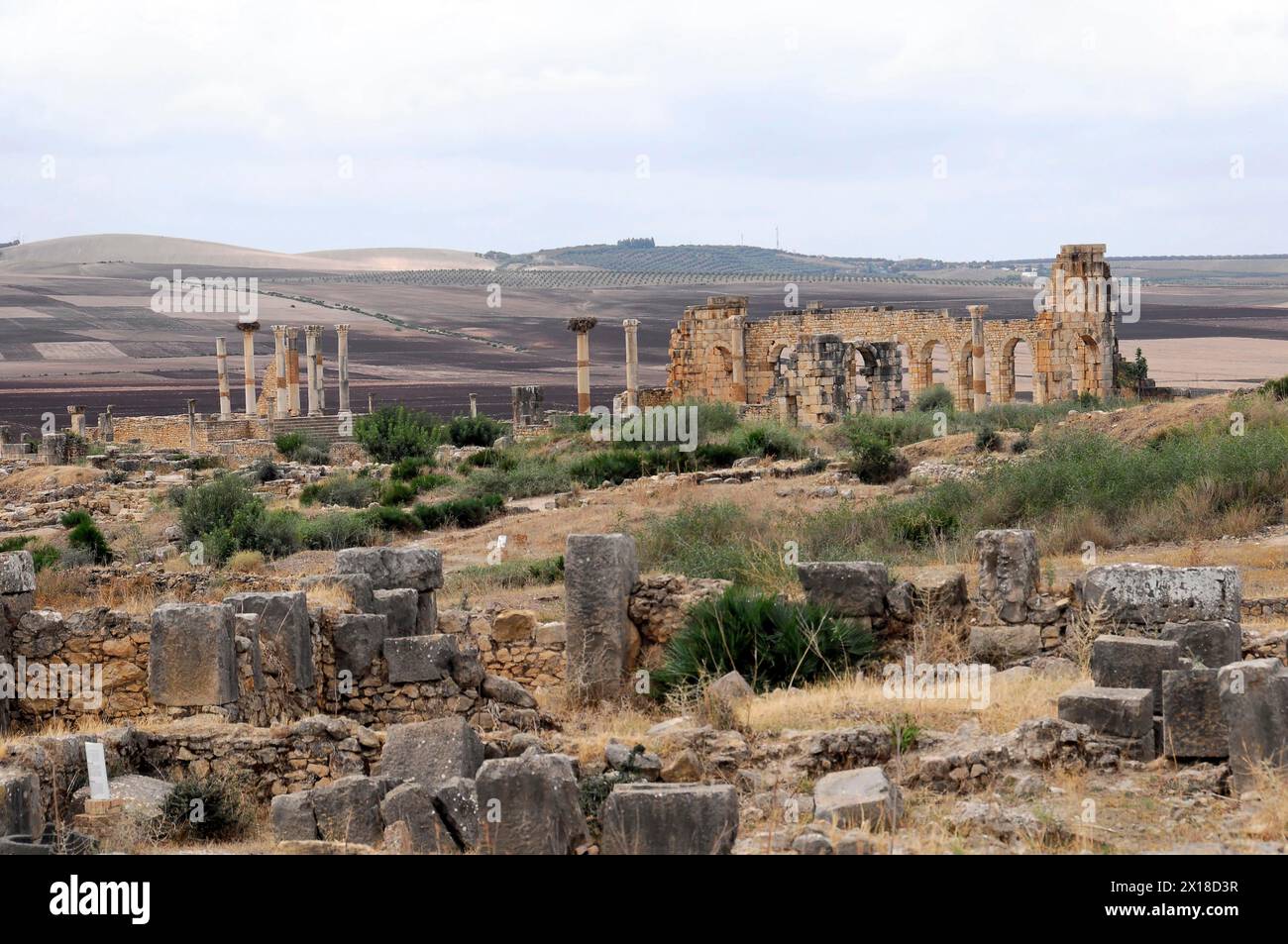 Archaeological excavation of the ancient Roman city of Volubilis ...