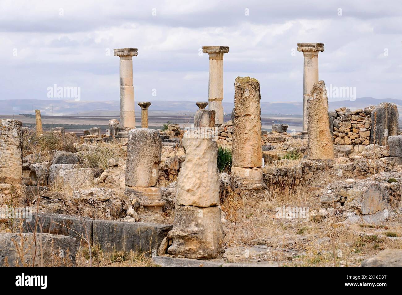 Archaeological excavation of the ancient Roman city of Volubilis ...