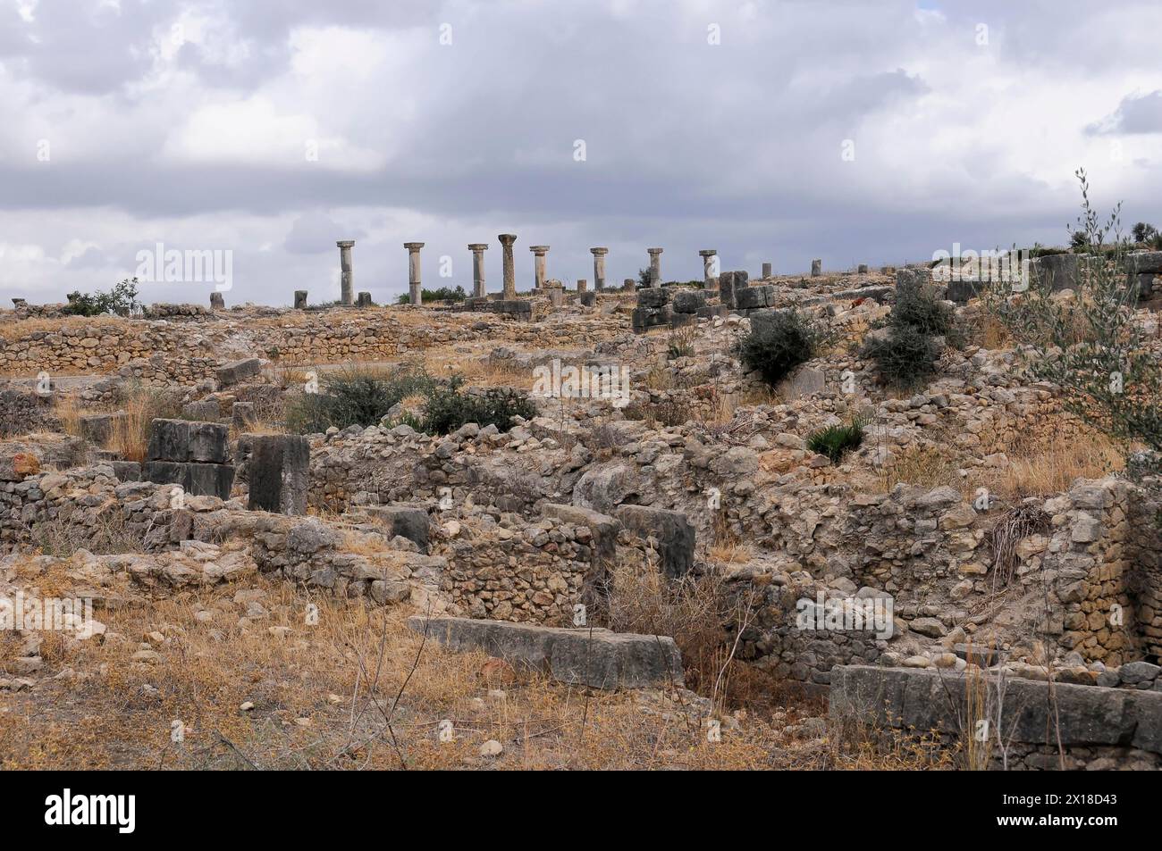 Archaeological excavation of the ancient Roman city of Volubilis ...