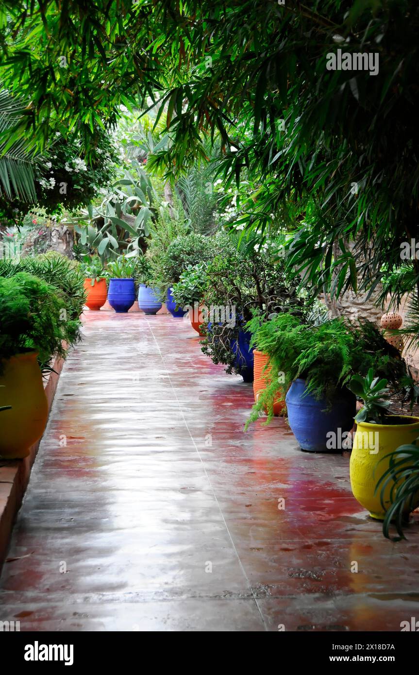 Jardin Majorelle, botanical garden in Marrakech, Paved path surrounded ...