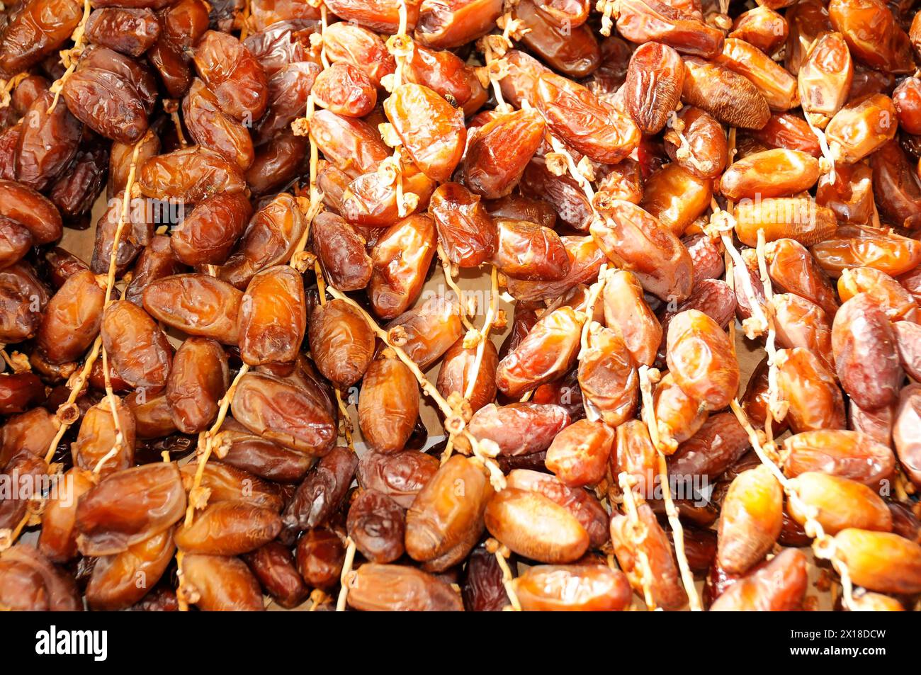 Marrakech, close-up of dates lined up in chains at a market, Marrakech ...