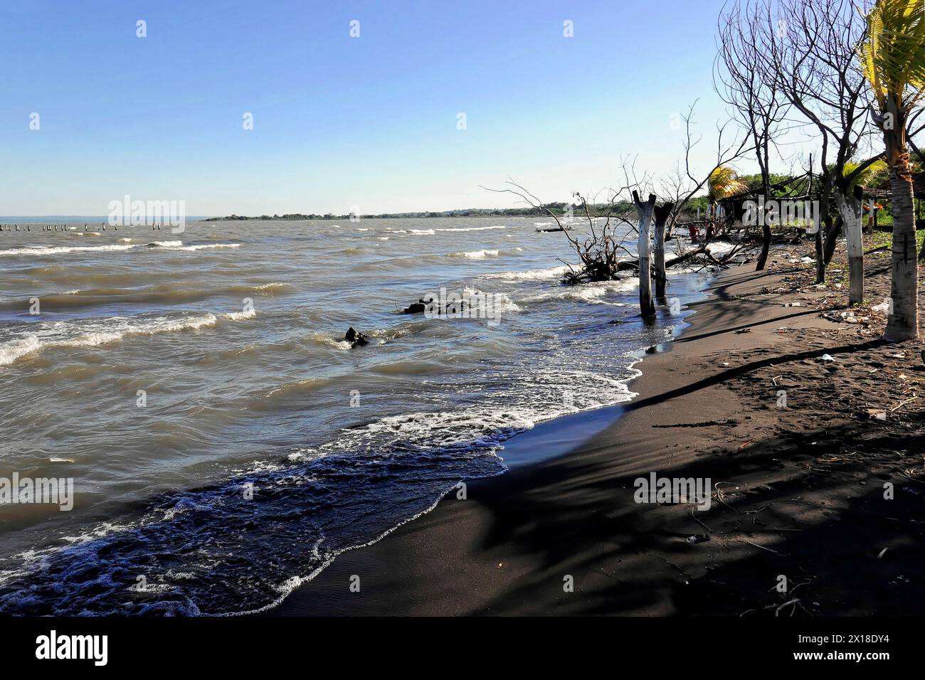 Lake Managua, Leon, Nicaragua, waves meet a black sand beach with dead ...