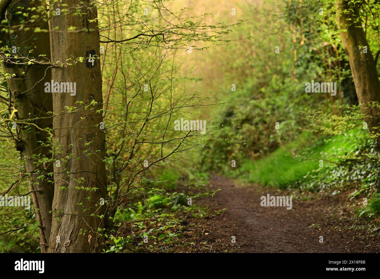Iserlohn. This year's unusually warm weather in April has already given ...