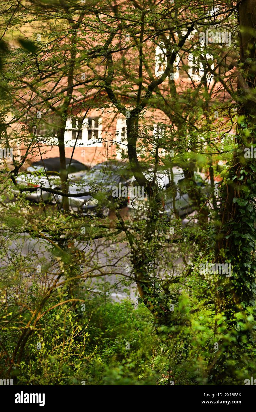 Iserlohn. This year's unusually warm weather in April has already given ...
