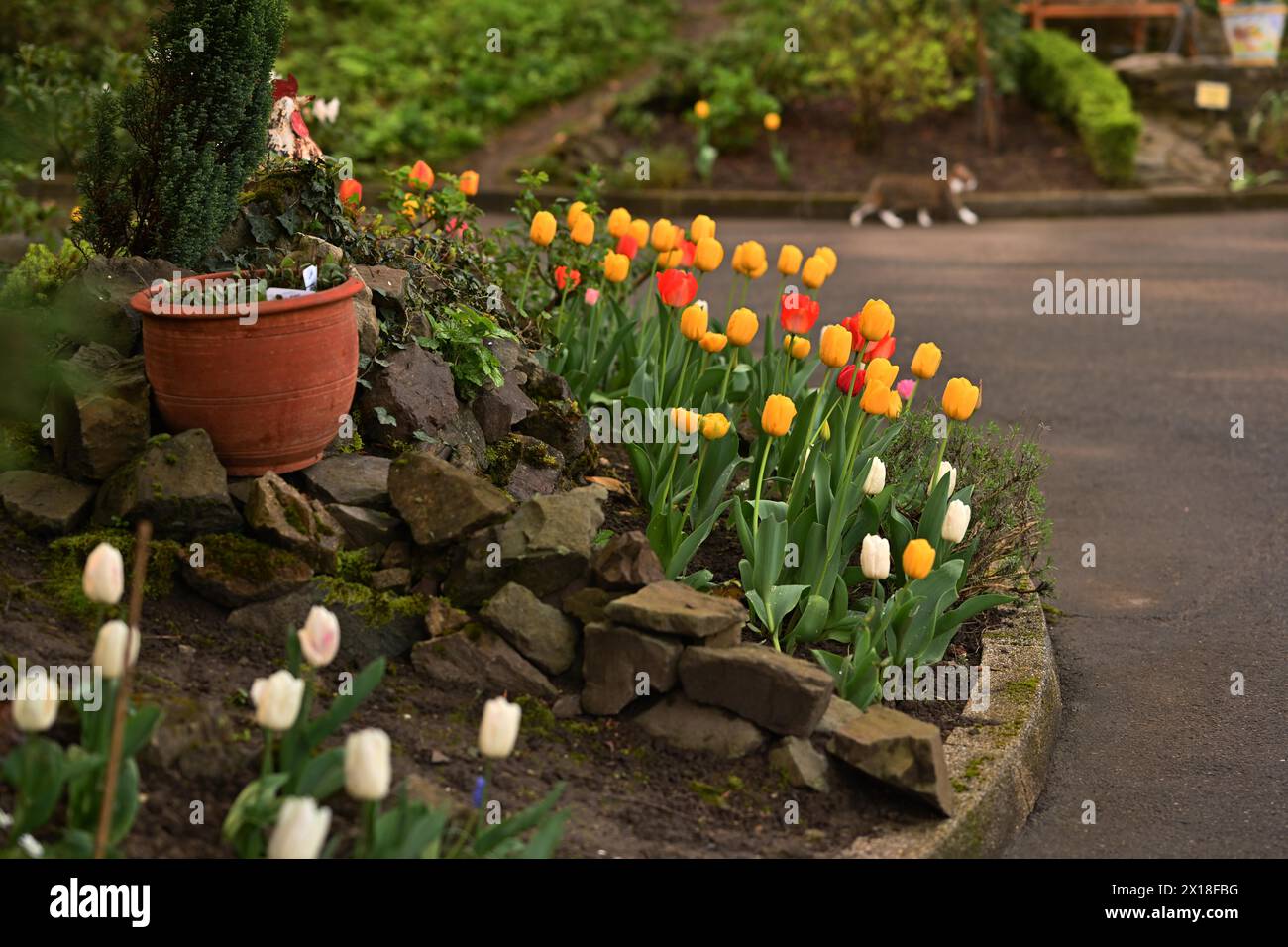 Iserlohn. This year's unusually warm weather in April has already given ...
