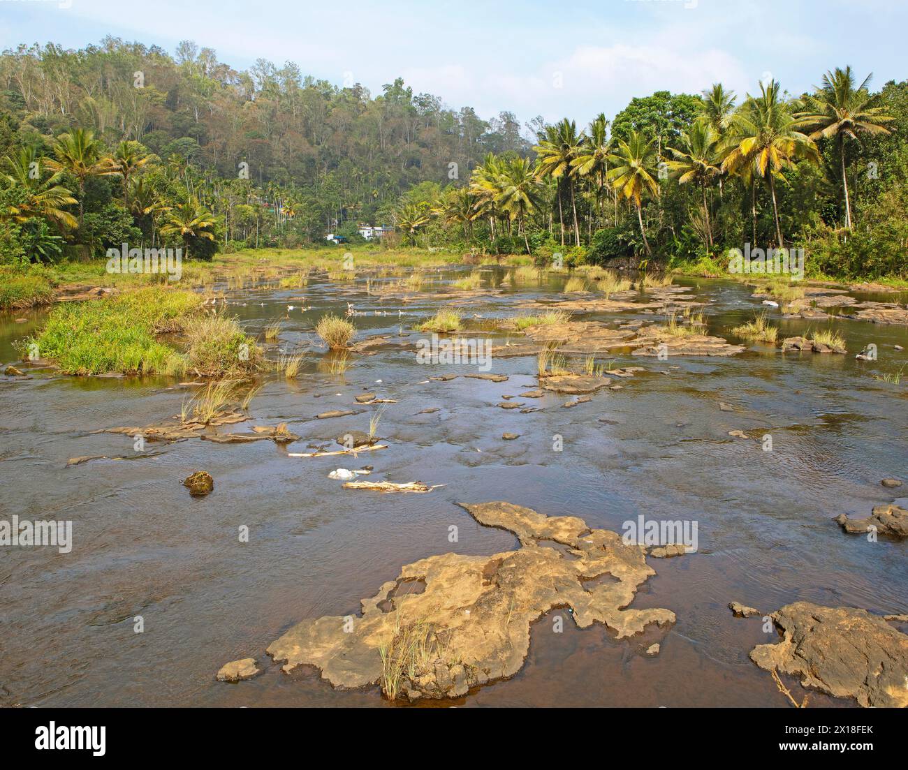 Periyar River, Thekkady, Kerala, India Stock Photo - Alamy