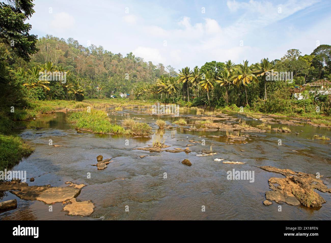 Periyar River, Thekkady, Kerala, India Stock Photo - Alamy