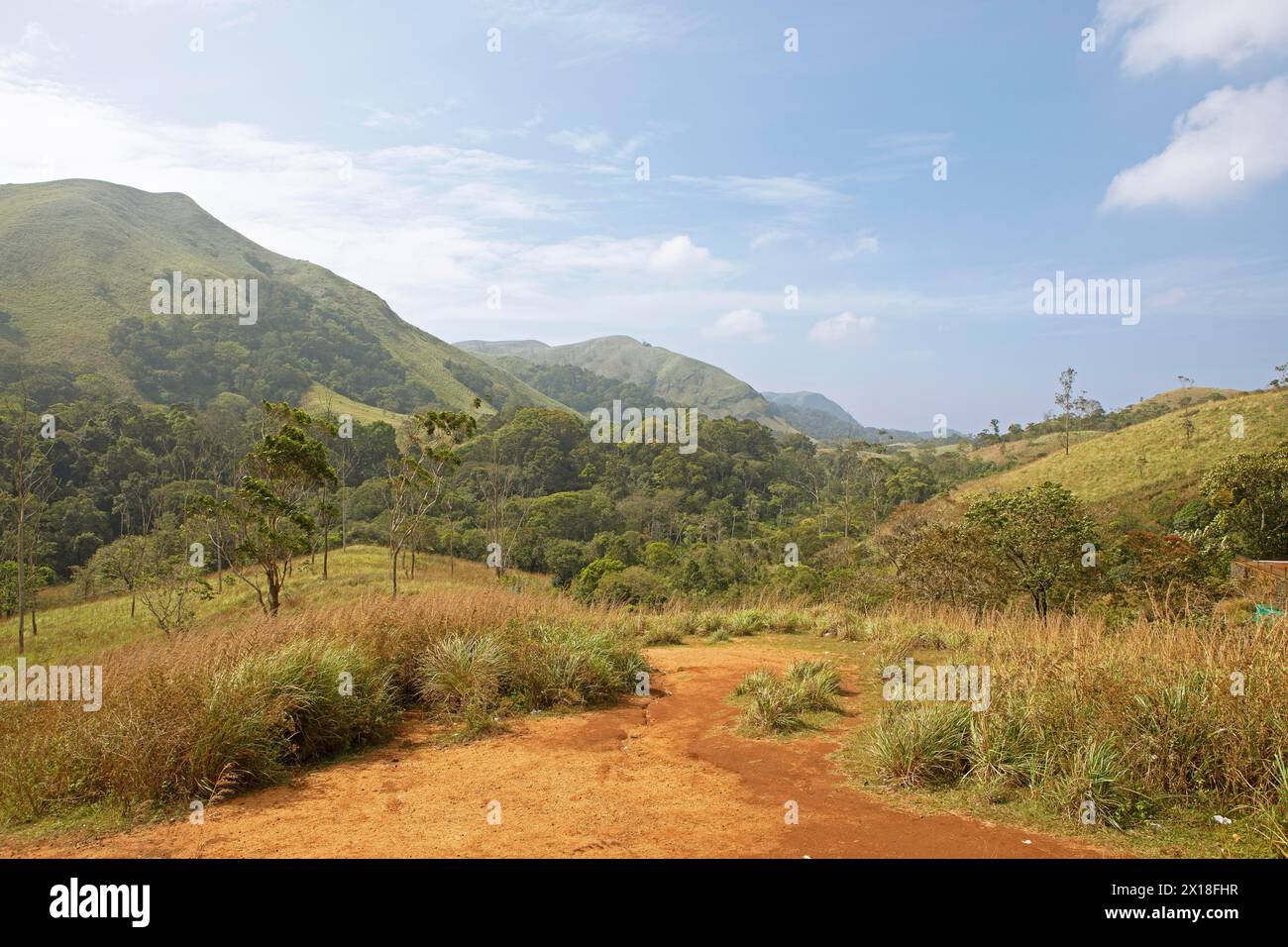 Landscape and red earth in Periyar Wildlife Sanctuary or Periyar ...