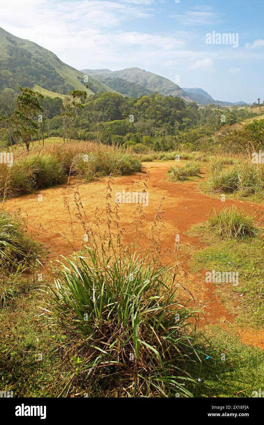 Periya nature reserve hi-res stock photography and images - Alamy