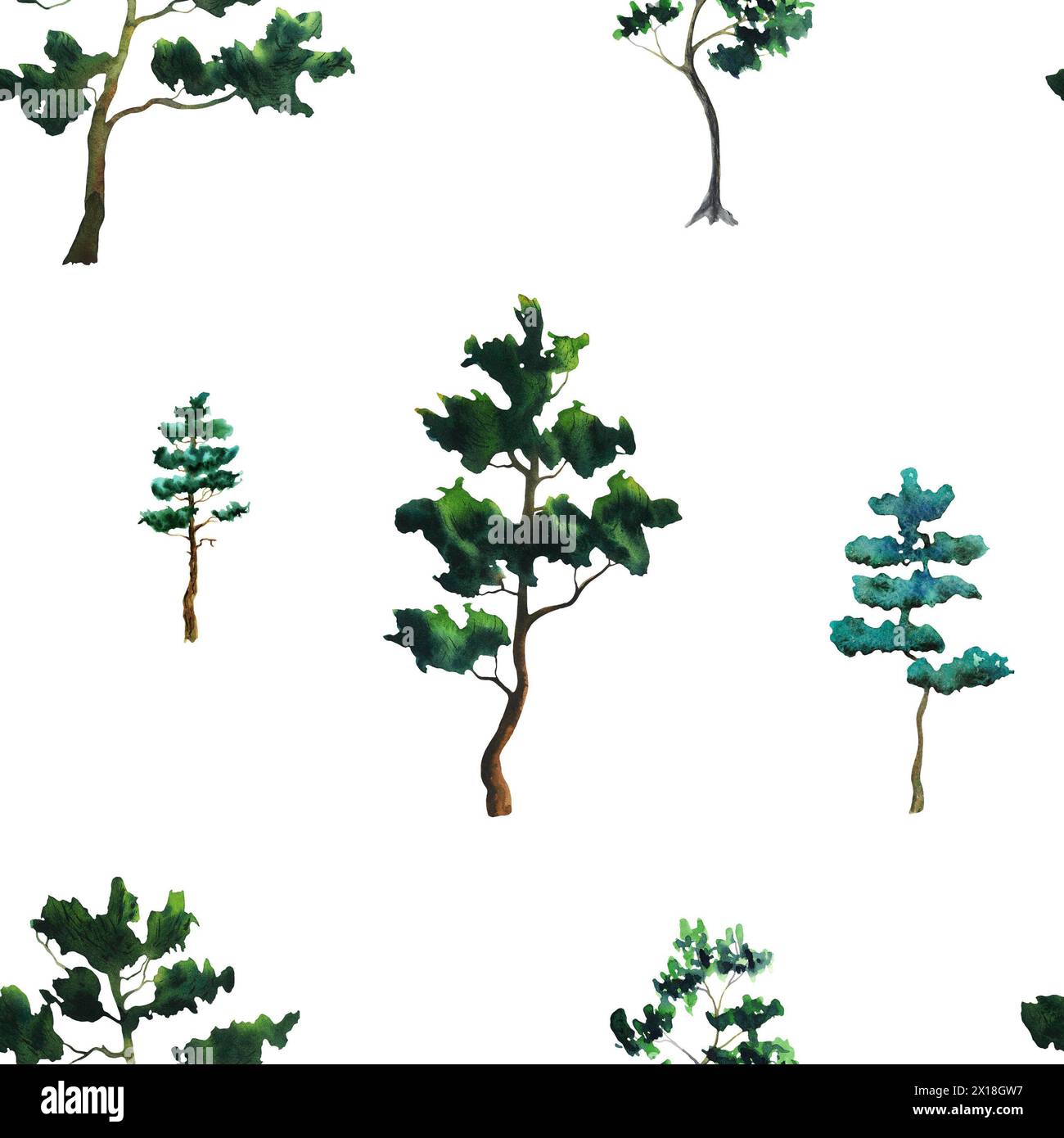 Pine tree watercolor seamless pattern, minimal style, side view. Fir ...