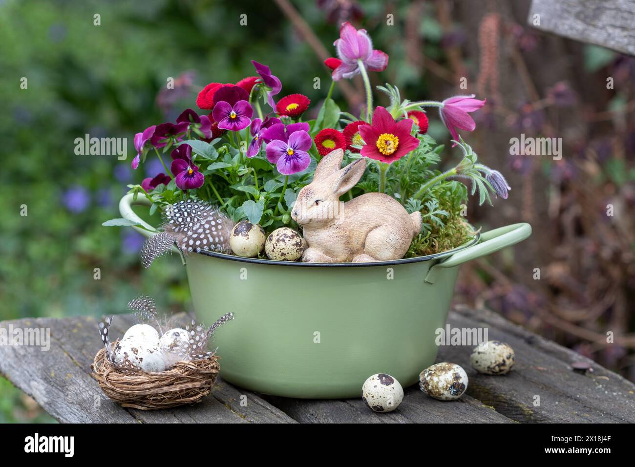 easter arrangement with easter bunny and red pasqueflower, bellis ...
