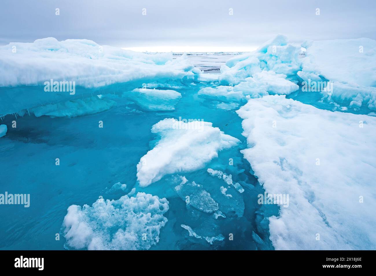Dramatic Colors in the Midst of the Pack Ice North of the 83rd Parallel ...