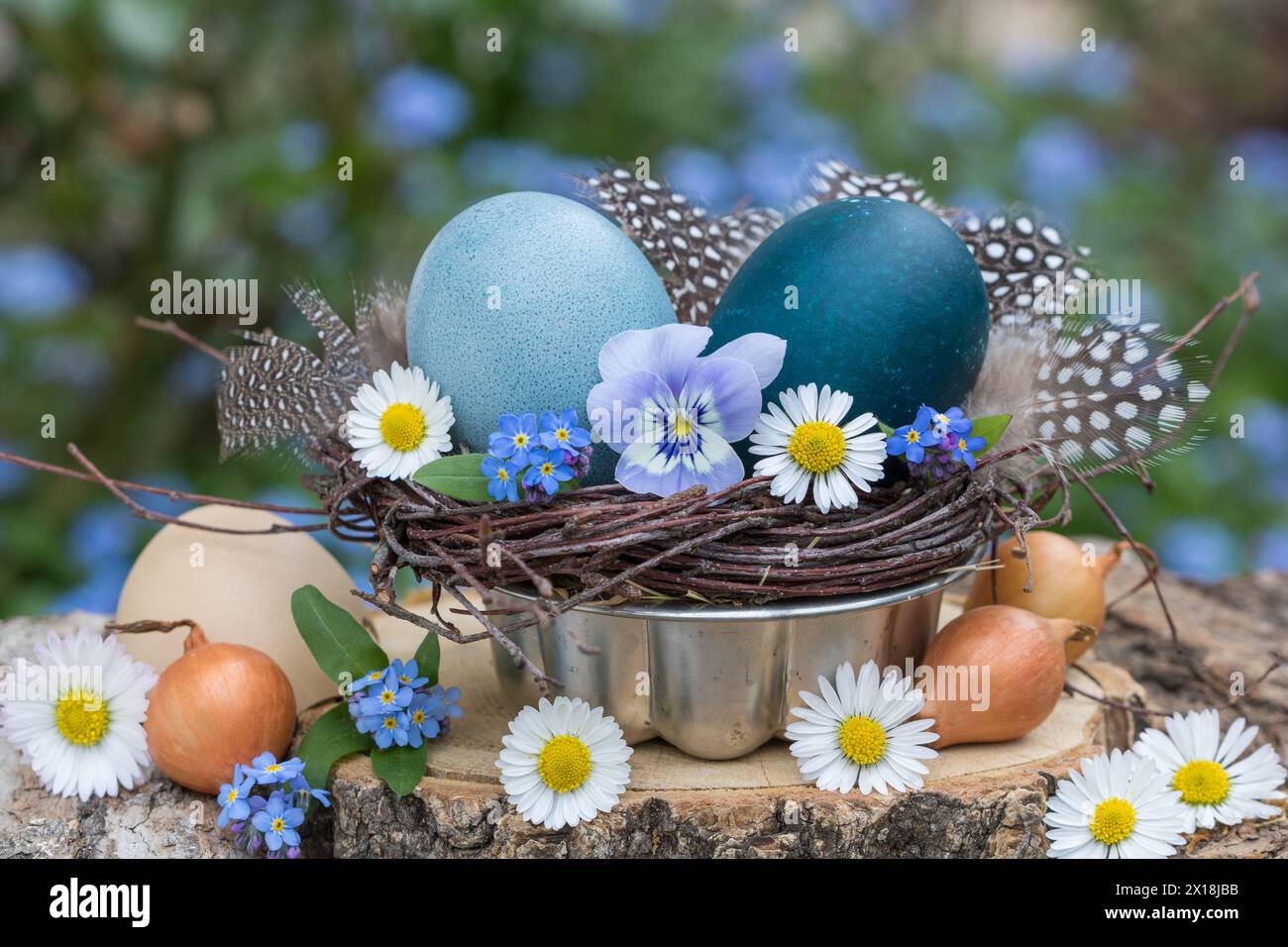 easter arrangement with blue coloured eggs, spring flowers and set ...
