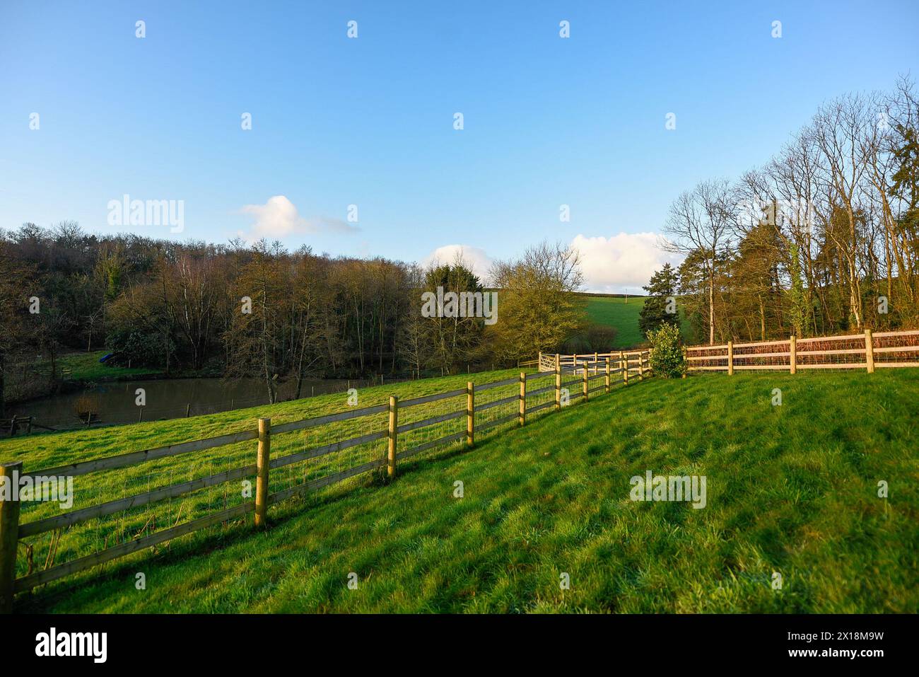 fence boundary in famland countryside Stock Photo - Alamy