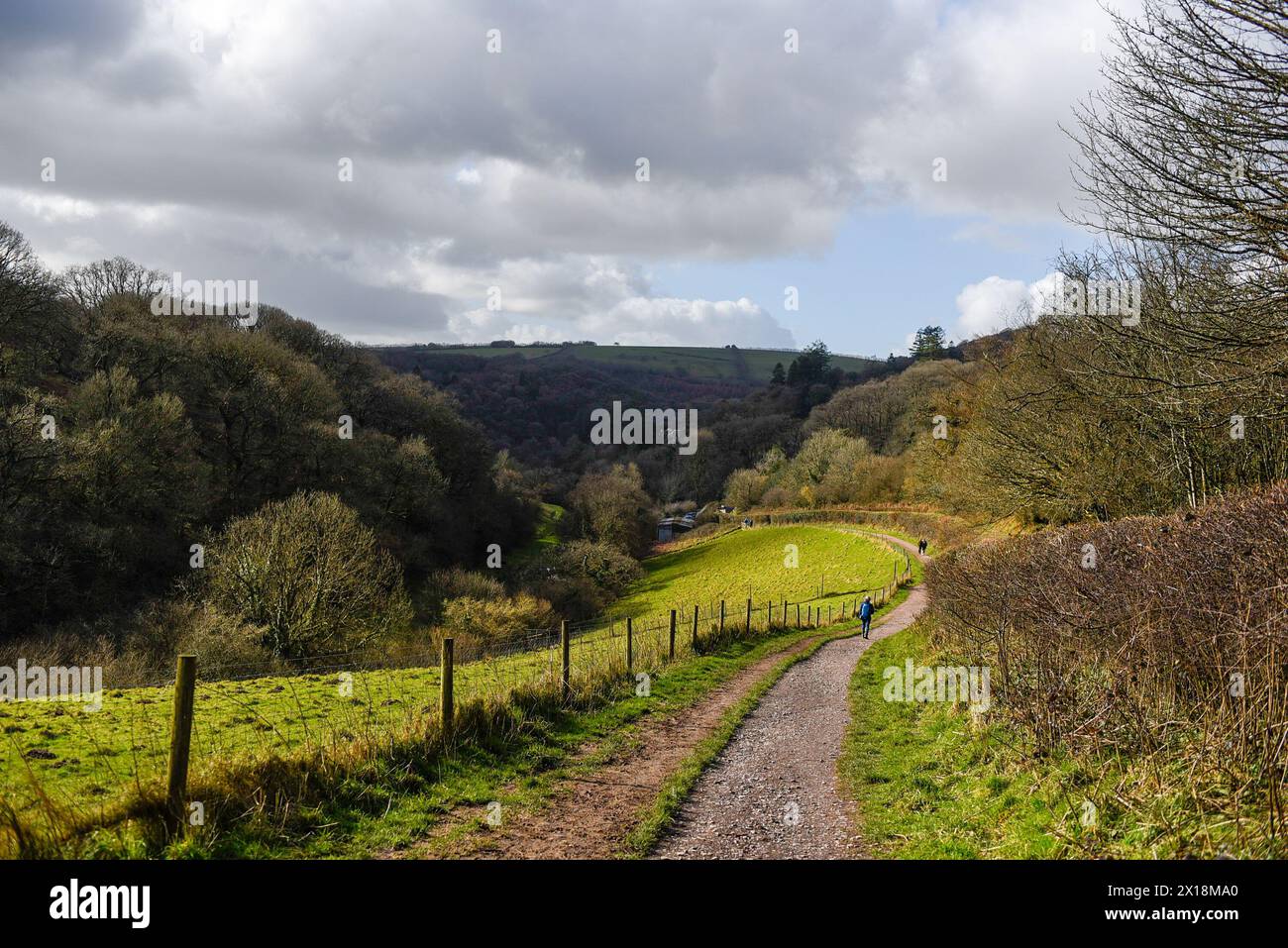 Contryside walk way devon Stock Photo - Alamy