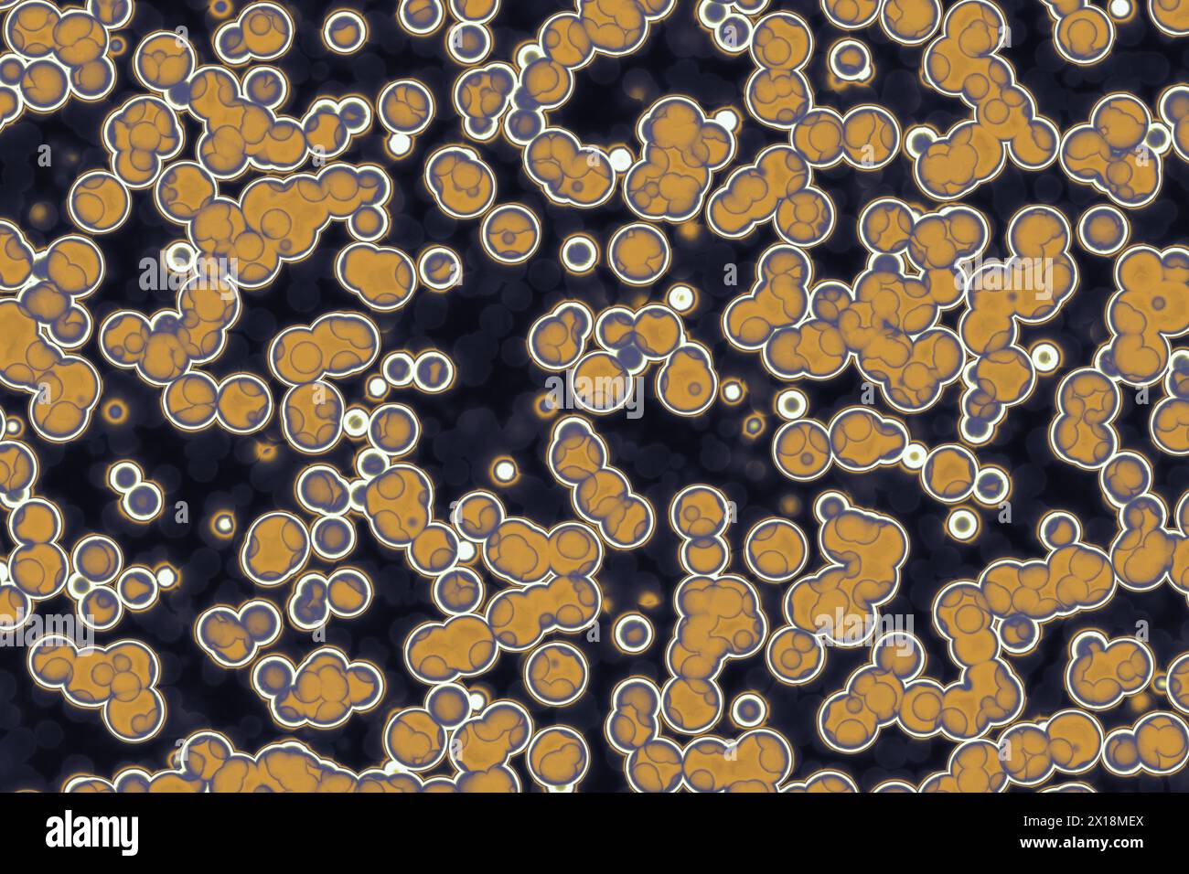 Fake microorganisms. microbiology. Bacteria, cells, viruses, germs ...