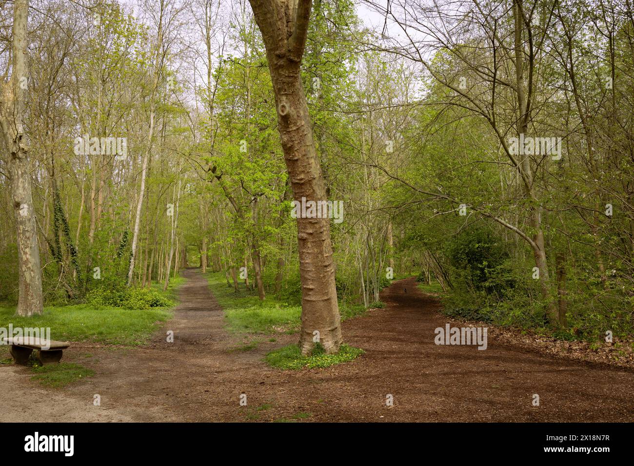 Crossroads, two different directions, concept of choose the correct way ...