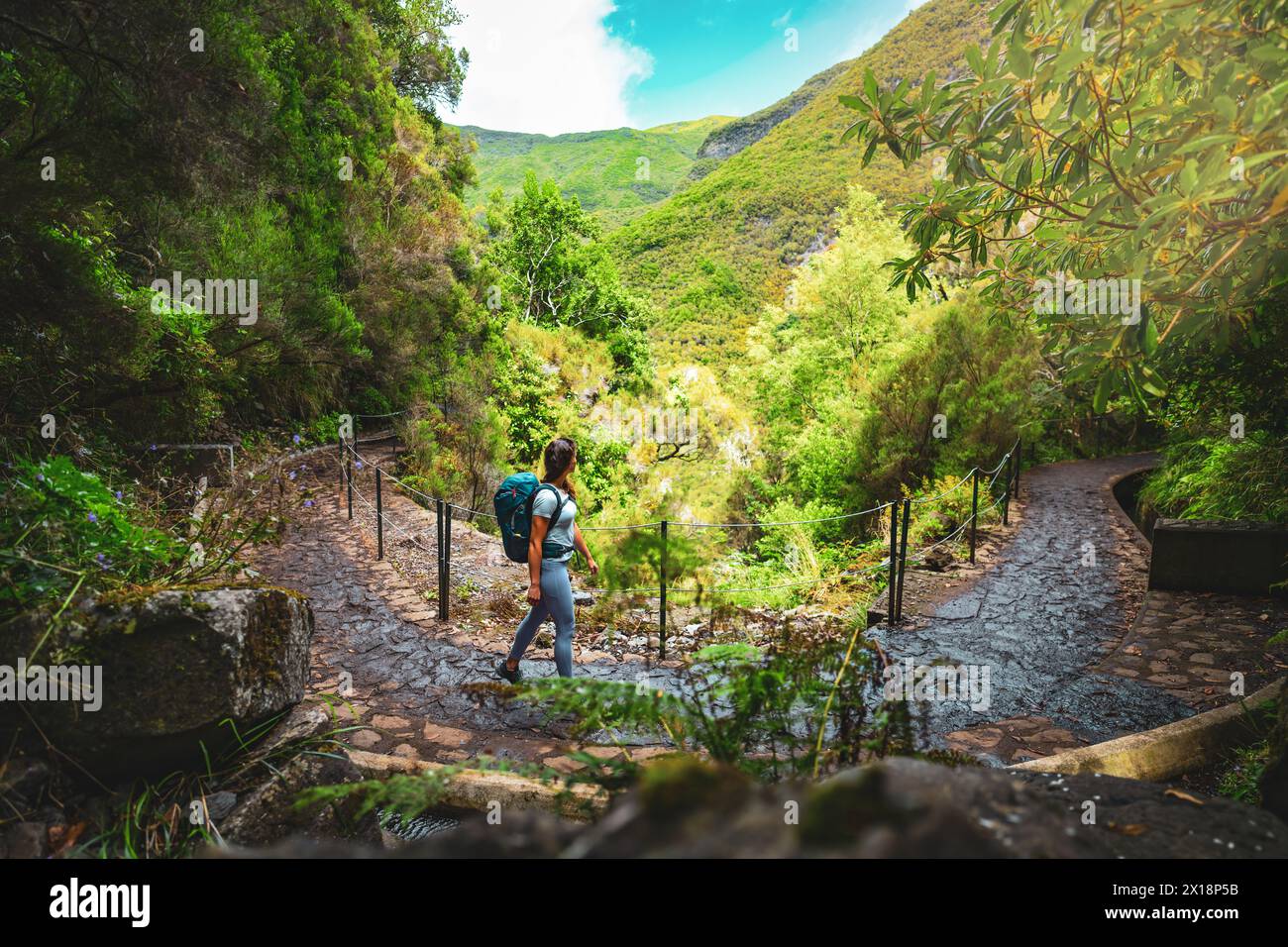 Description: Athletic tourist with backpack walks along tree overgrown ...