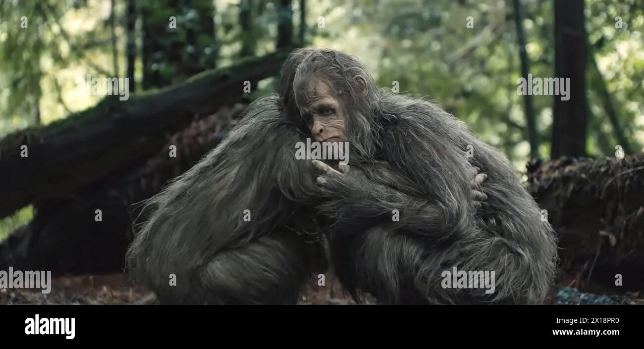 SASQUATCH SUNSET, 2024. © Bleecker Street Media /Courtesy Everett ...